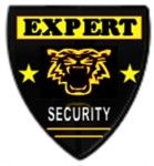 Working at Expert Security Services company profile and information ...