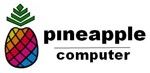 Working at Pineapple Computer Systems Sdn Bhd company profile and ...