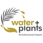 Water + Plants Lab work culture, perks & benefits | JobStreet