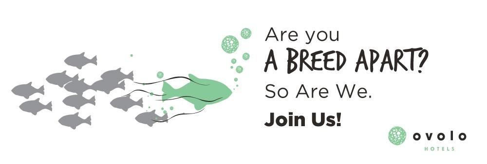 Ovolo group limited jobs - Oct 2022 | JobsDB