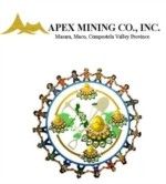 Working at Apex Mining company profile and information | Jobstreet