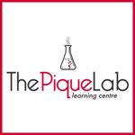 Reviews The Pique Lab Learning Centre employee ratings and reviews ...