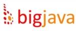 Working at Bigjava company profile and information | JobStreet