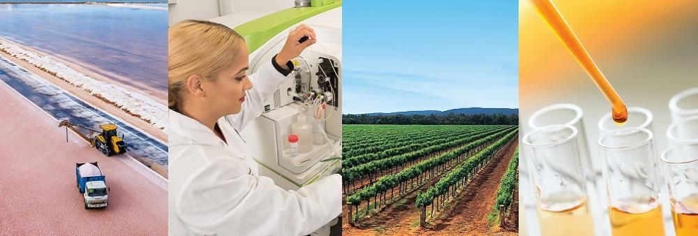 Ck life sciences jobs - Feb 2023 | JobsDB