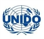Working at United Nations Industrial Development Organization company ...