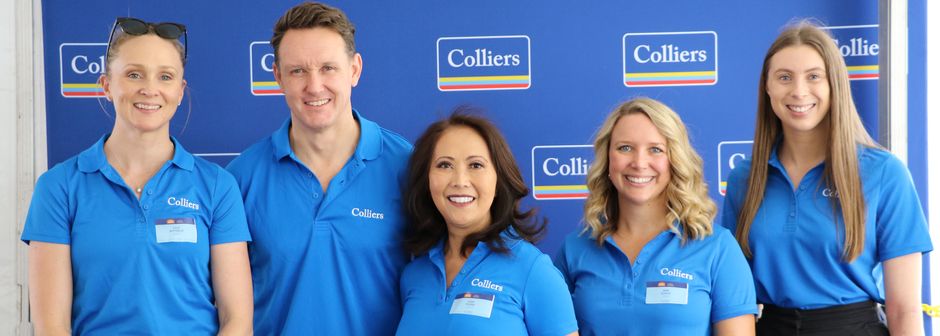 Colliers job openings and vacancies | SEEK
