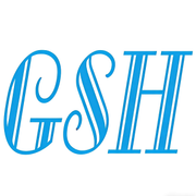 Working at GSH Precision Technology company profile and information ...