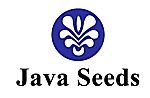Java Seed Indonesia work culture, perks & benefits | Jobstreet
