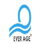 PT Ever Age Valves Metals work culture, perks & benefits | JobStreet