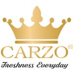 Working at Carzo company profile and information | JobStreet